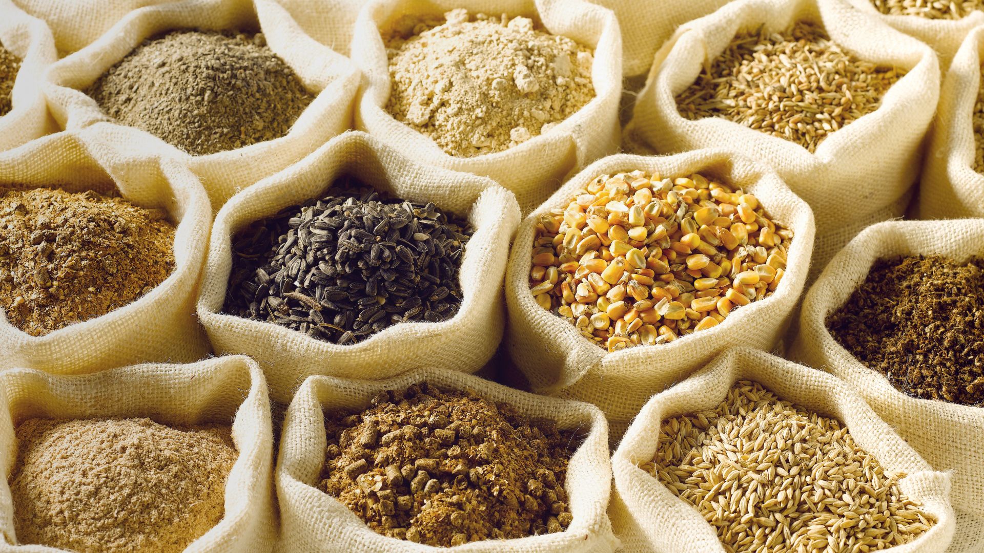 Protect Teeth Through Nutrition | Total Care Dental | Holistic Dentistry